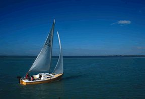 Seduced by the Nearly Free Boat - Practical Sailor