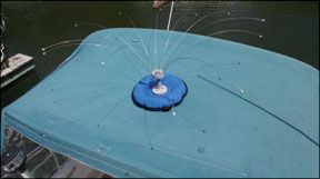 Keep Birds Away from Your Boat and Dock - Practical Sailor