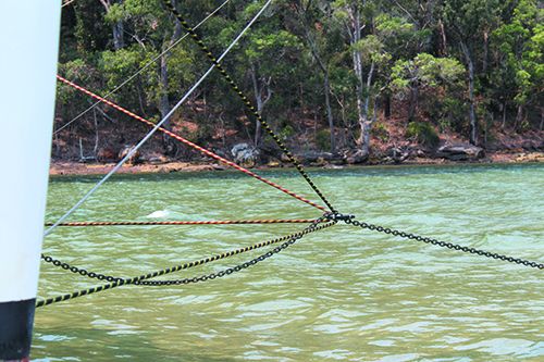 Adjustable Snubber Bridle and Chain Hook - Practical Sailor
