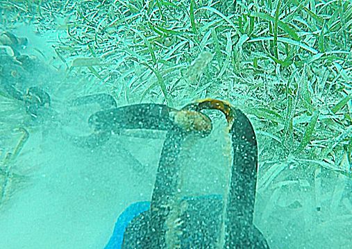 The Curse of the Mystery Mooring Chain - Practical Sailor