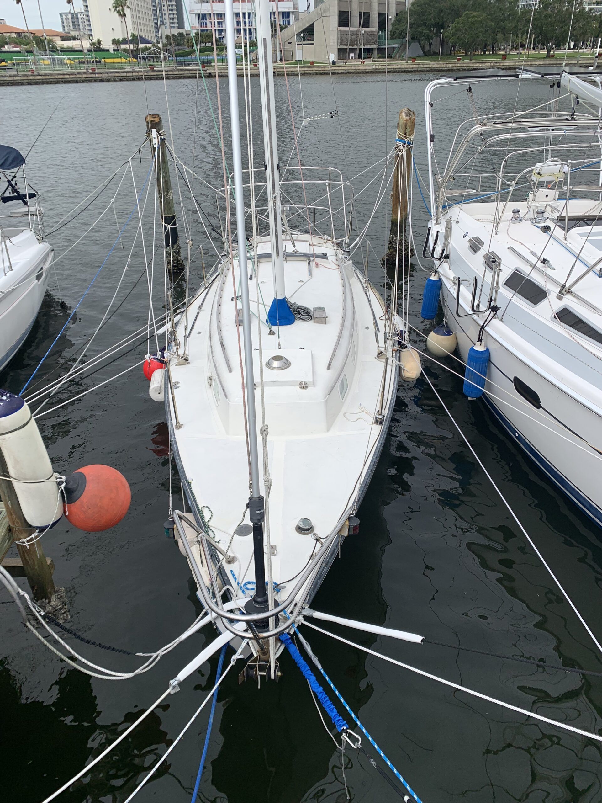 Rhumb Lines: Lessons from Hurricane Ian - Practical Sailor